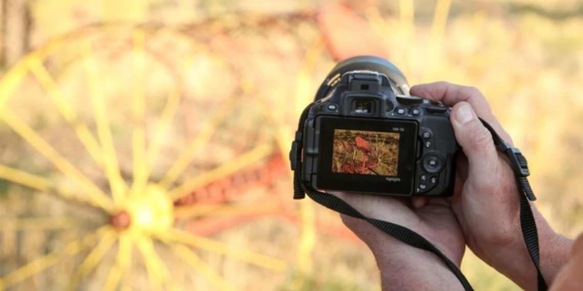 Elevating Photography: The Pivotal Significance of Composition ...