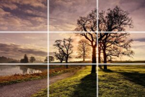 Elevating Photography: The Pivotal Significance of Composition ...